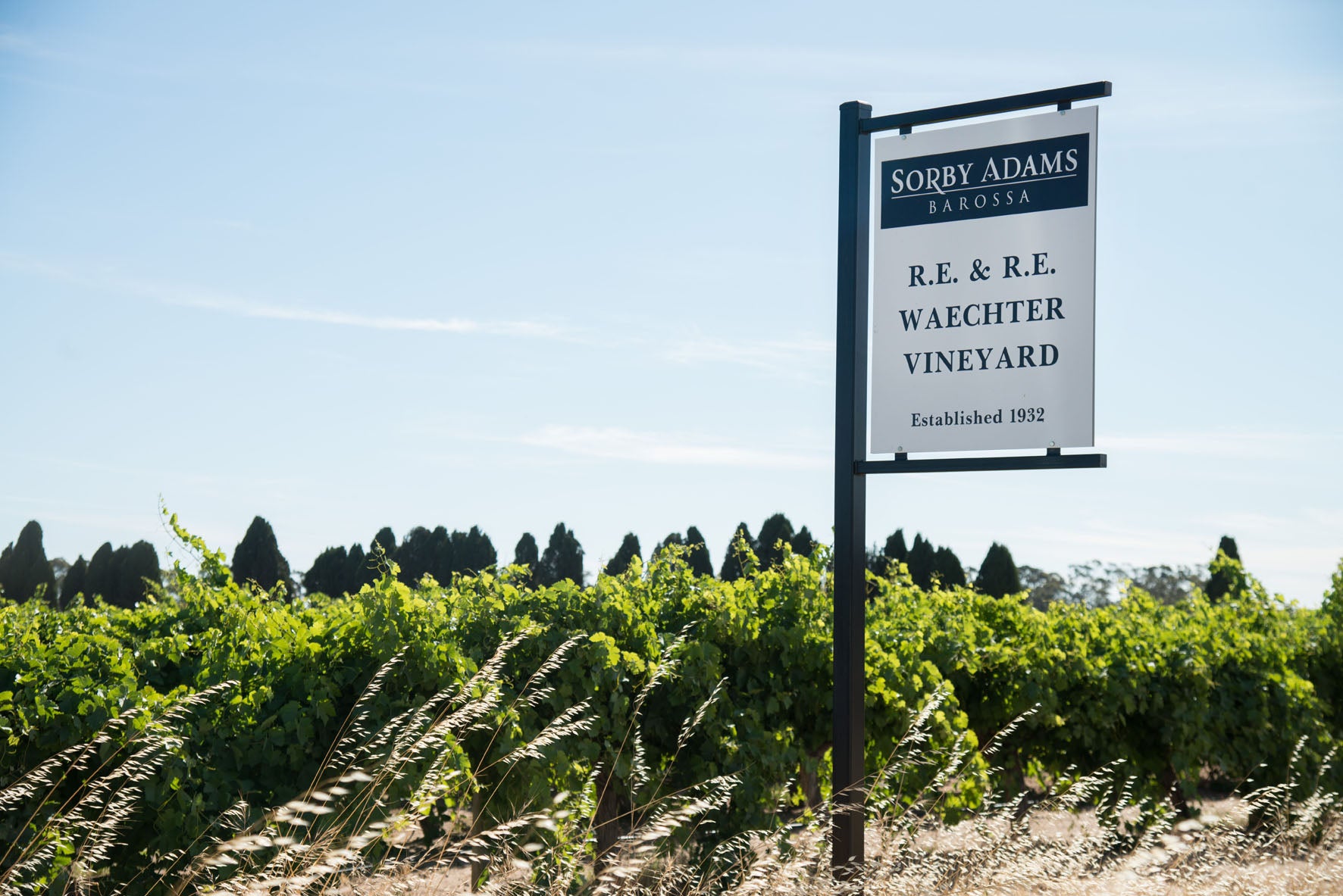 Vineyards – Sorby Adams Wines