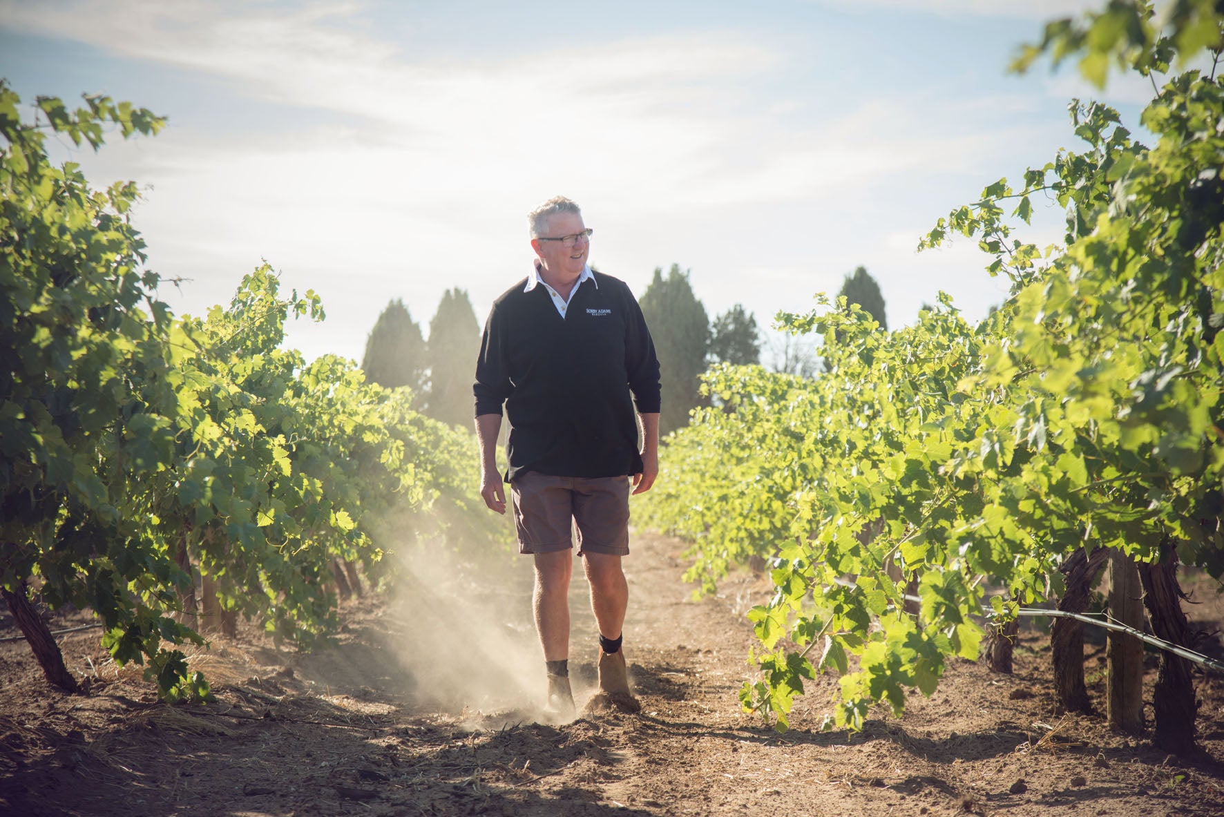 Vineyards – Sorby Adams Wines